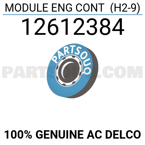 MODULE ENG CONT (H2-9) 12612384 | AC Delco Parts | PartSouq
