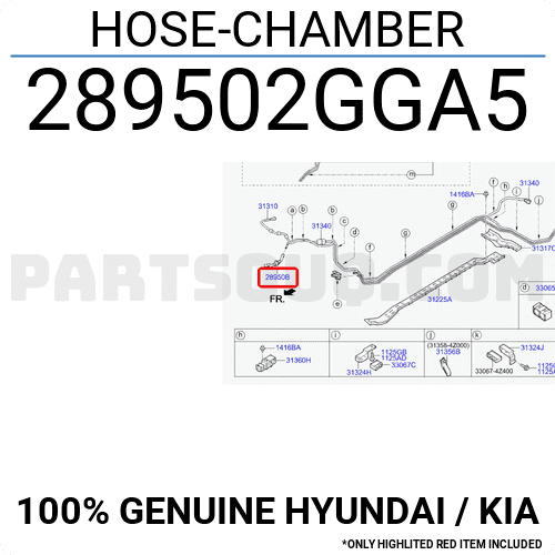 HOSE-CHAMBER 289502GGA5 | Hyundai / KIA Parts | PartSouq