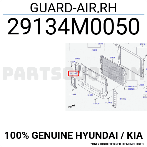 GUARD-AIR,RH 29134M0050 | Hyundai / KIA Parts | PartSouq