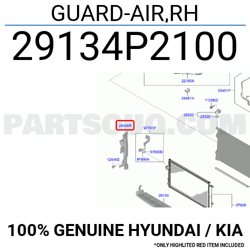 GUARD-AIR,RH 29134P2100 | Hyundai / KIA Parts | PartSouq