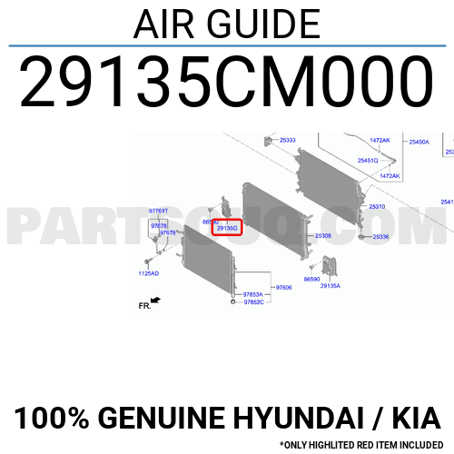 AIR GUIDE 29135CM000 | Hyundai / KIA Parts | PartSouq