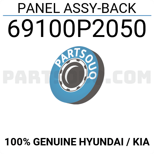 PANEL ASSY-BACK 69100P2050 | Hyundai / KIA Parts | PartSouq
