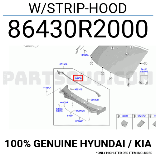 W/STRIP-HOOD 86430R2000 | Hyundai / KIA Parts | PartSouq