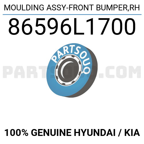 MOULDING ASSY-FRONT BUMPER,RH 86596L1700 | Hyundai / KIA Parts | PartSouq