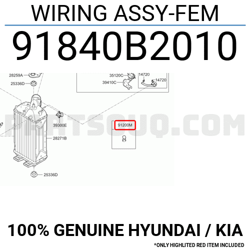 WIRING ASSY-FEM 91840B2010 | Hyundai / KIA Parts | PartSouq