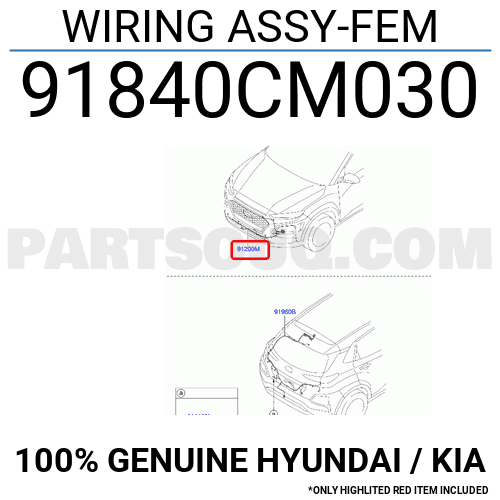 WIRING ASSY-FEM 91840CM030 | Hyundai / KIA Parts | PartSouq