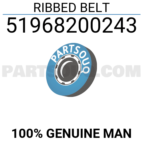 RIBBED BELT 51968200243 | MAN Parts | PartSouq