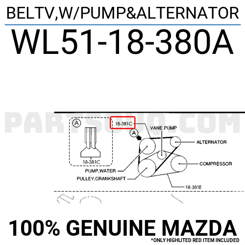 BELTV,W/PUMP&ALTERNATOR WL5118380A | Mazda Parts | PartSouq