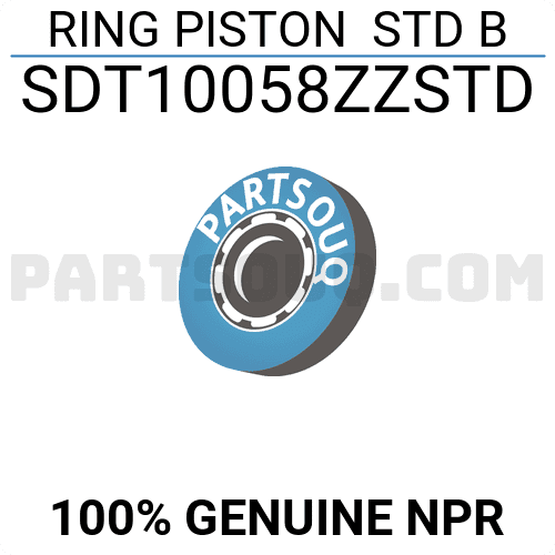RING PISTON STD B SDT10058ZZSTD | NPR Parts | PartSouq