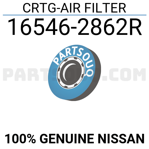 CRTG-AIR FILTER 165462862R | Nissan Parts | PartSouq