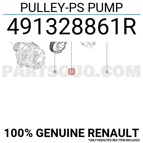 PULLEY-PS PUMP 491328861R | Renault Parts | PartSouq