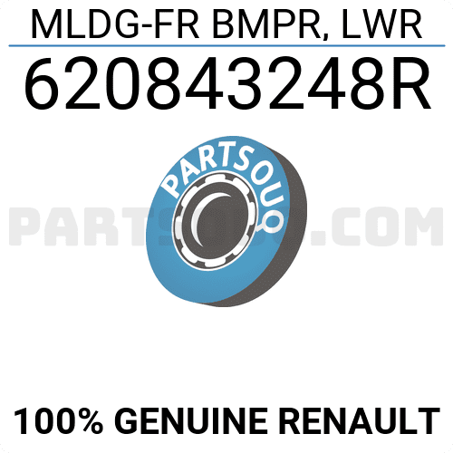 MLDG-FR BMPR, LWR 620843248R | Renault Parts | PartSouq