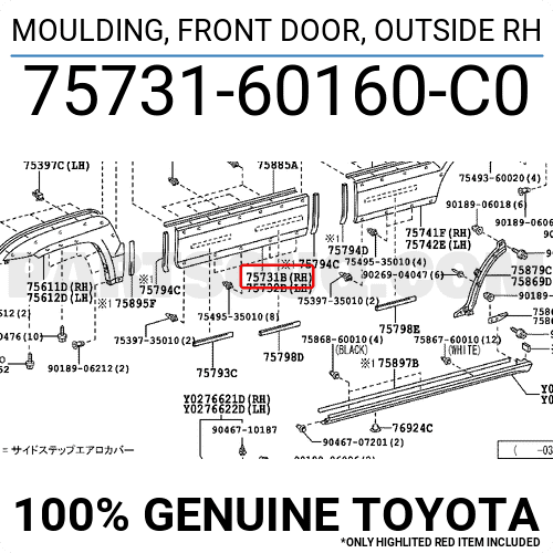 MOULDING, FRONT DOOR, OUTSIDE RH 7573160160C0 | Toyota Parts | PartSouq