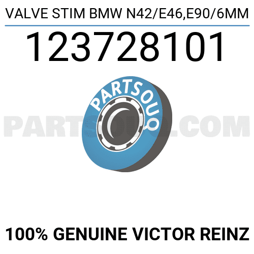 VALVE STIM BMW N42/E46,E90/6MM 123728101 | Victor Reinz Parts | PartSouq