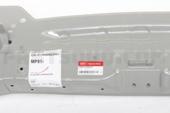 PANELASSY-BACK 65910D9550 | Hyundai / KIA Parts | PartSouq