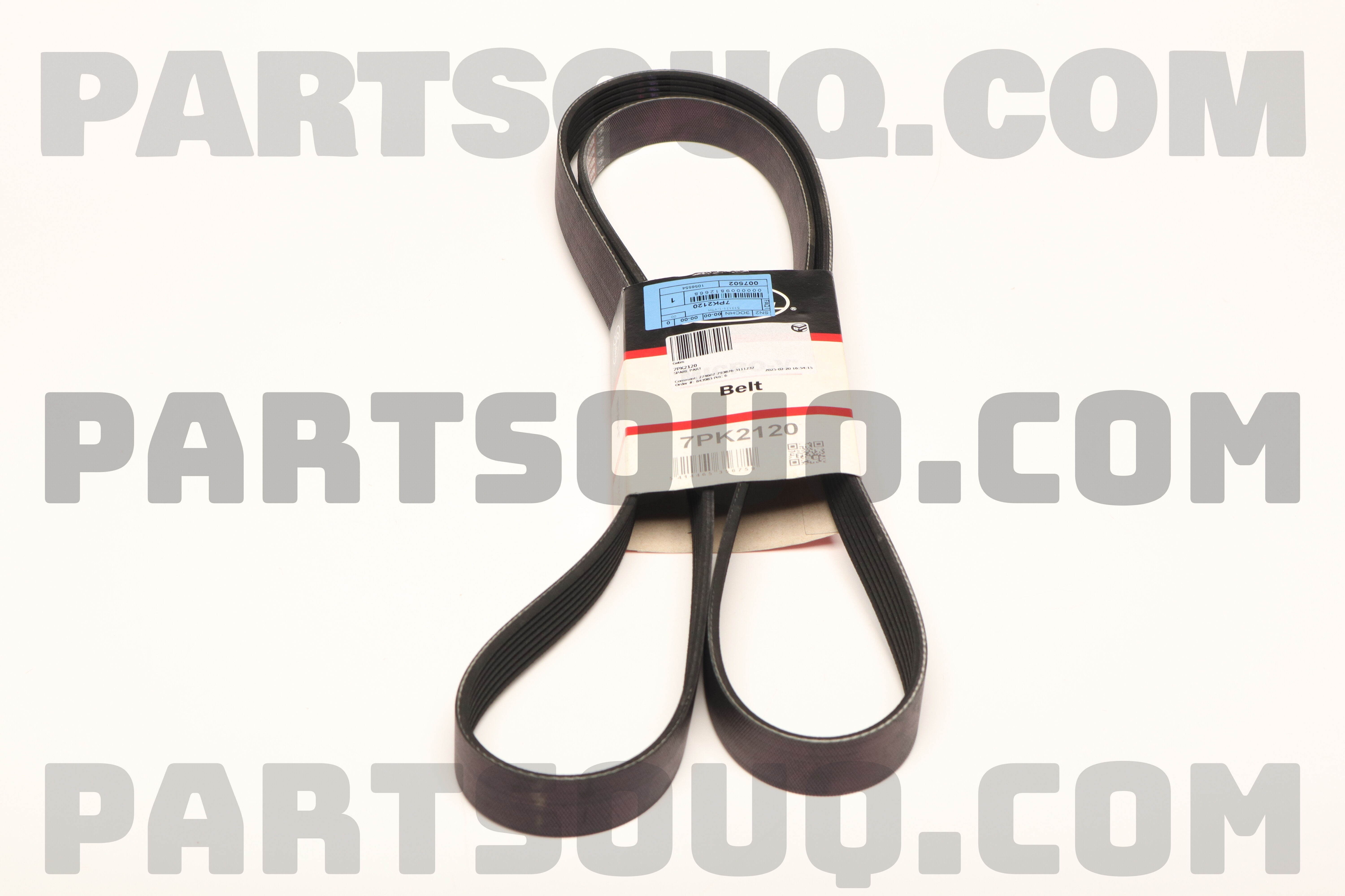BELT, V(FOR FAN & ALTERNATOR) 9091602571 | Toyota Parts | PartSouq