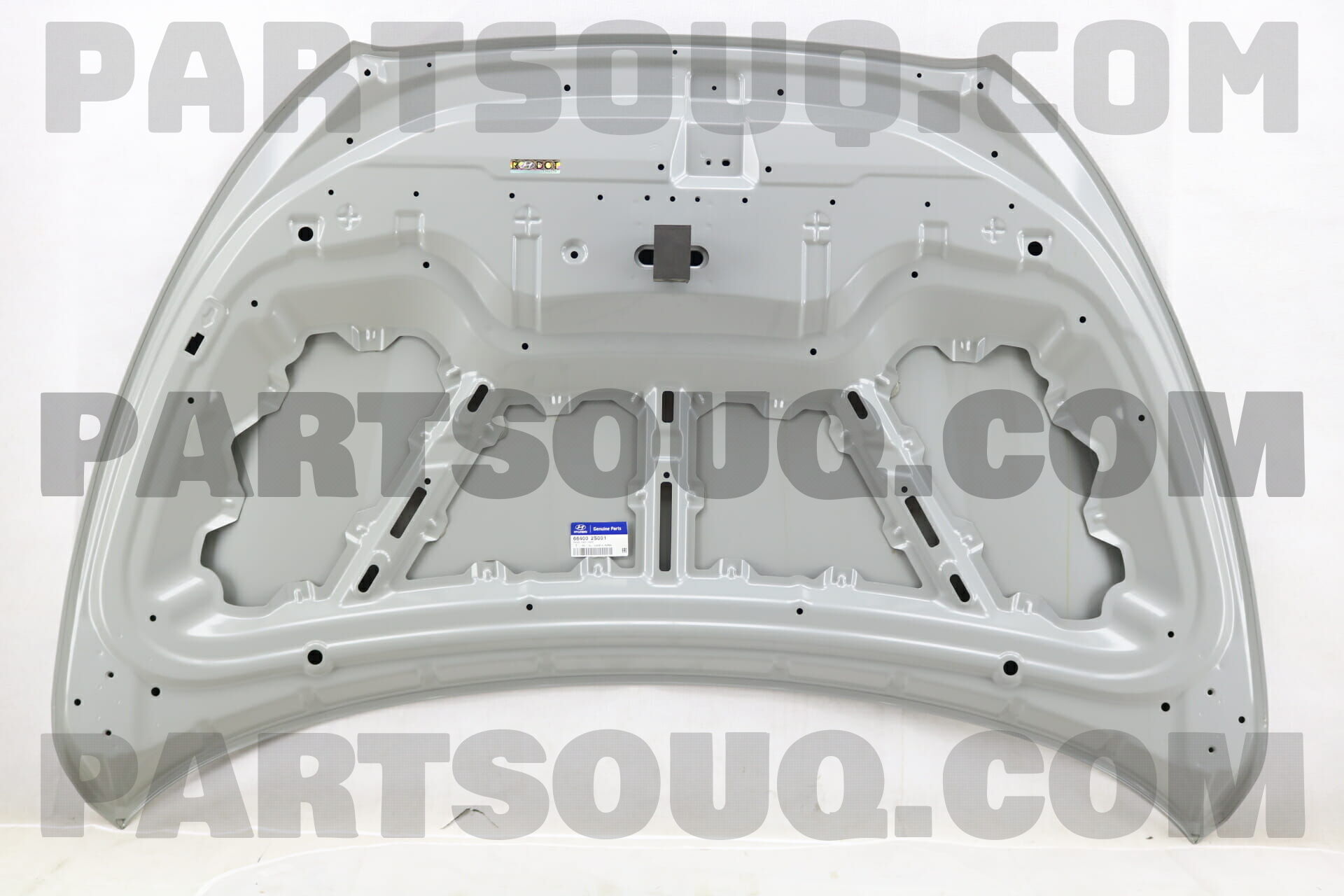 PANEL ASSY-HOOD 664002Y001 | Hyundai / KIA Parts | PartSouq