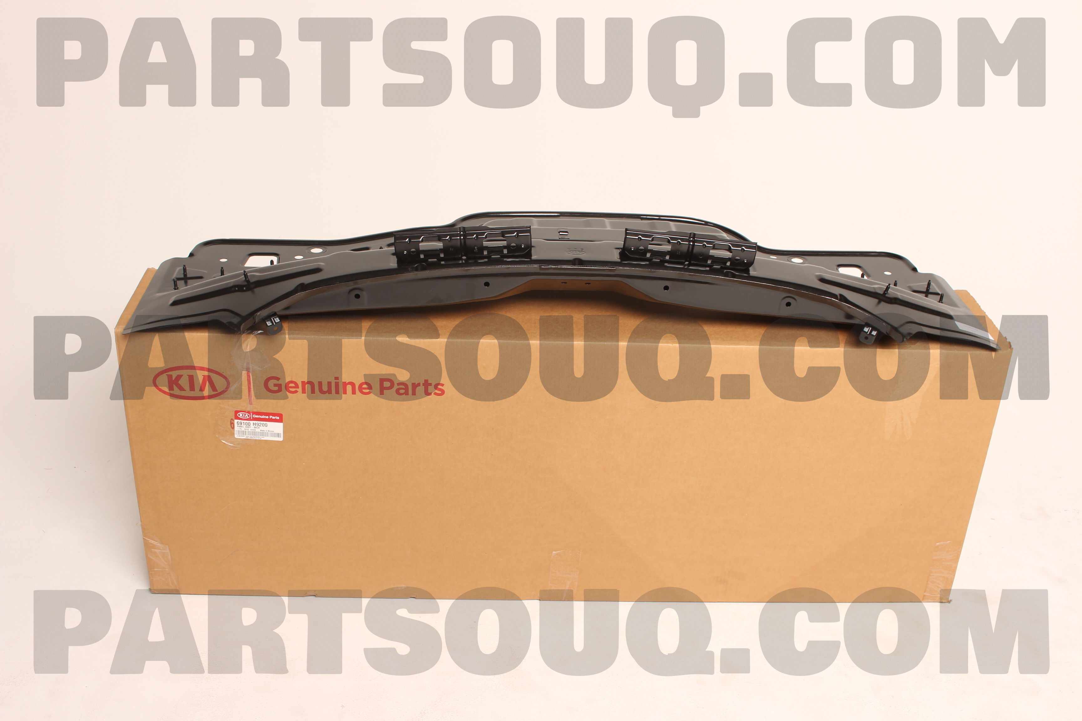 PANELASSY-BACK 69100H9200 | Hyundai / KIA Parts | PartSouq