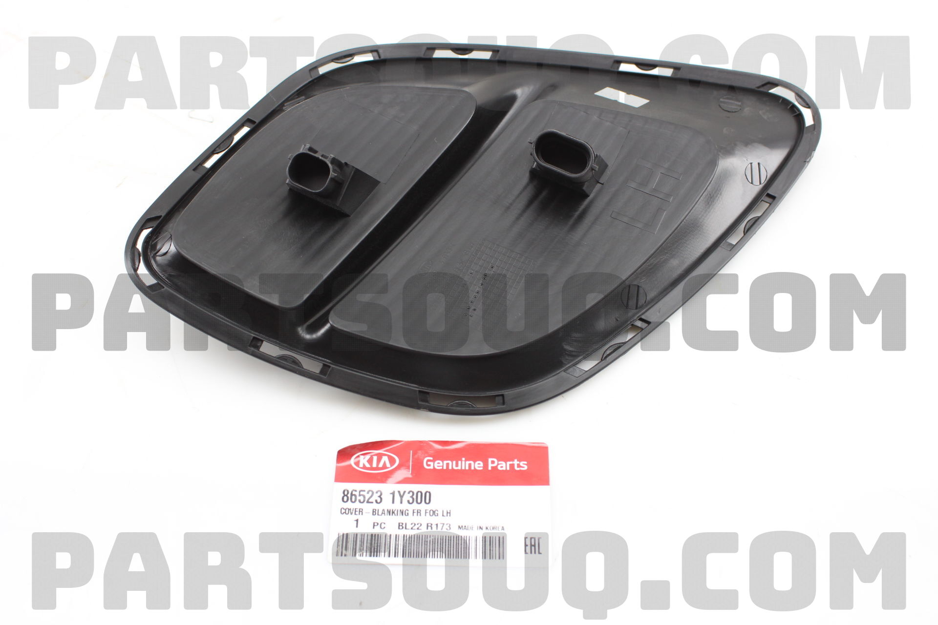 COVER-BLANKING FR FOG LH 865231Y300 | Hyundai / KIA Parts | PartSouq
