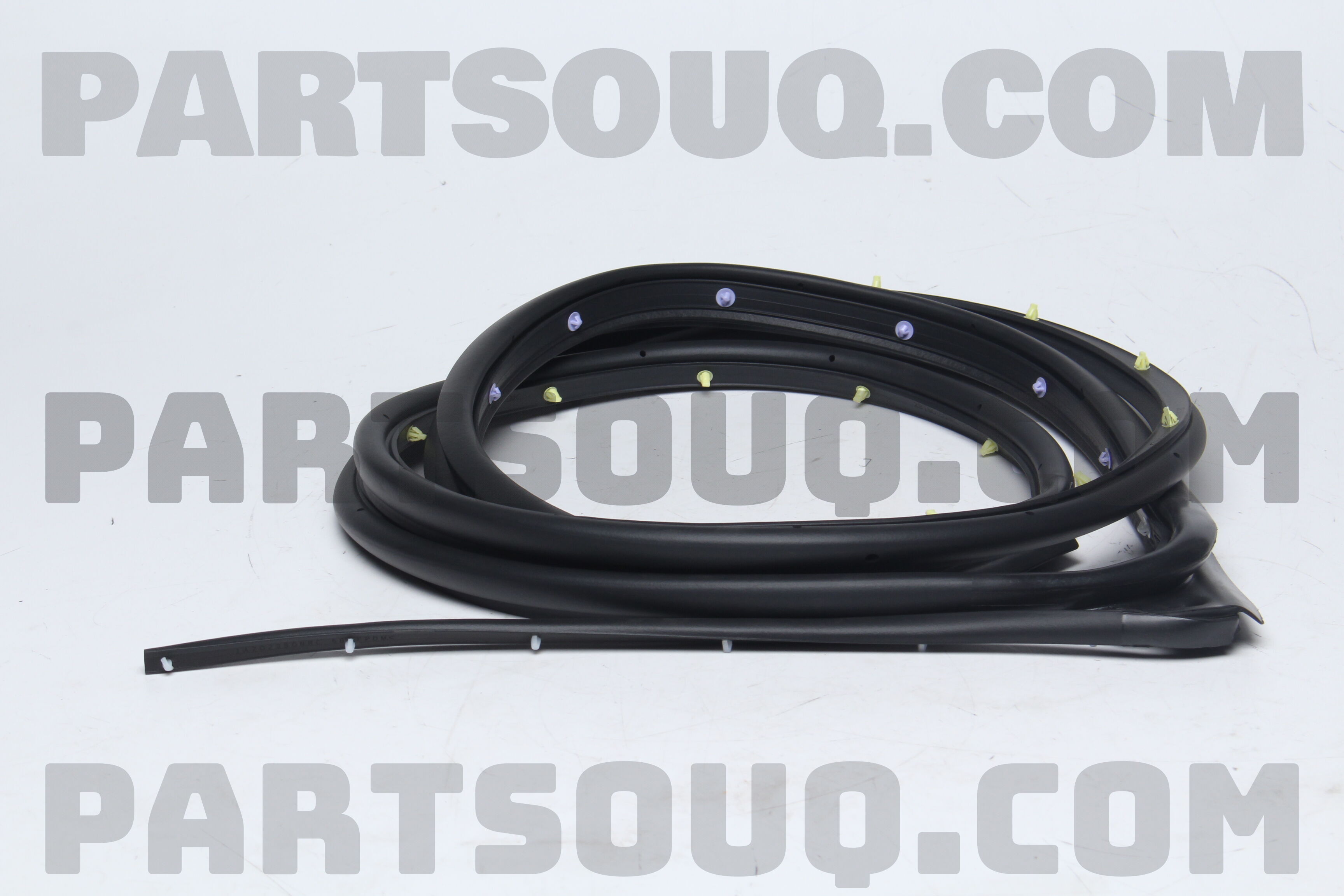 W/STRIP,R/DR OPNG,OTR LH 5755A033 | Mitsubishi Parts | PartSouq