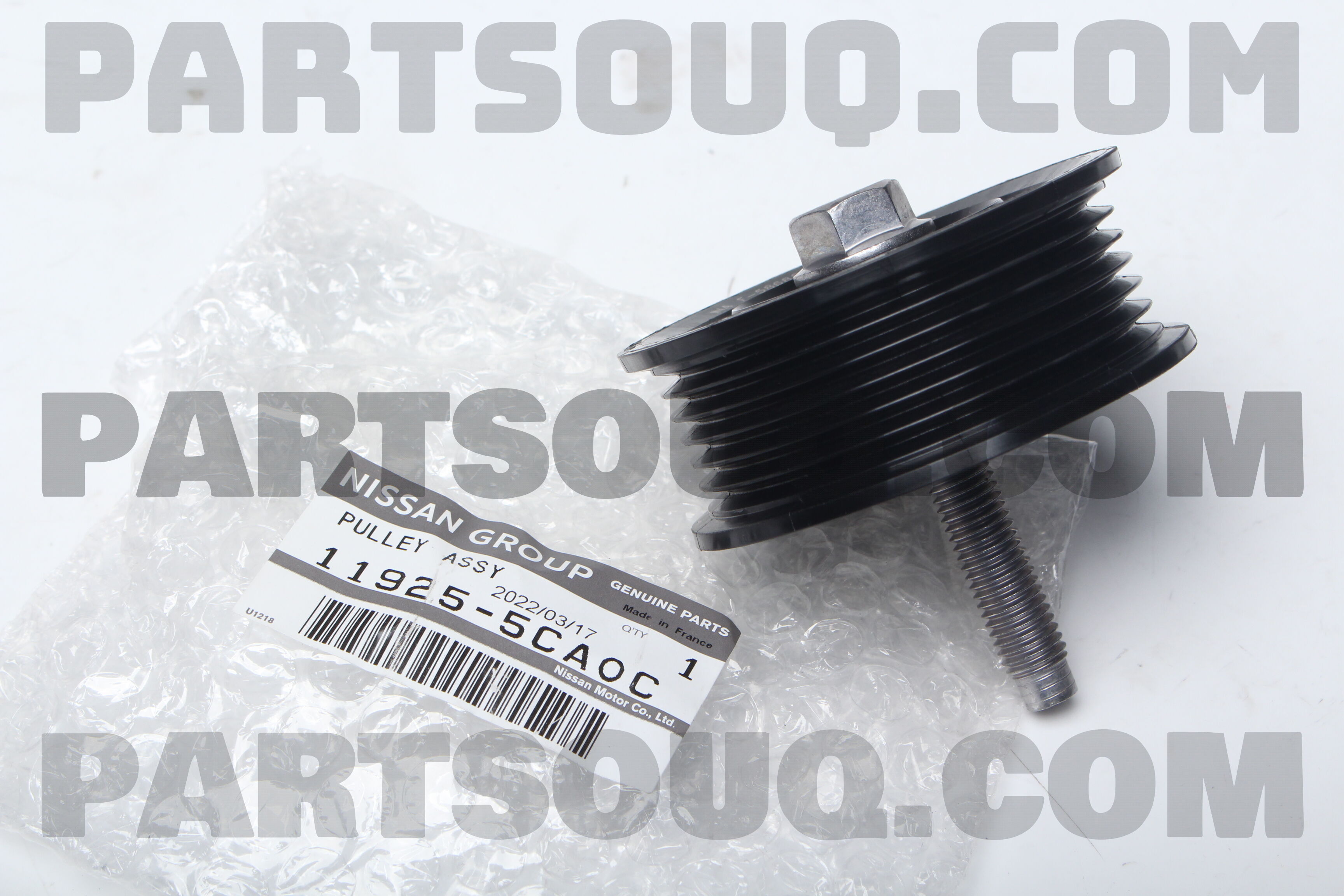PULLEY ASSY 119255CA0C | Nissan Parts | PartSouq