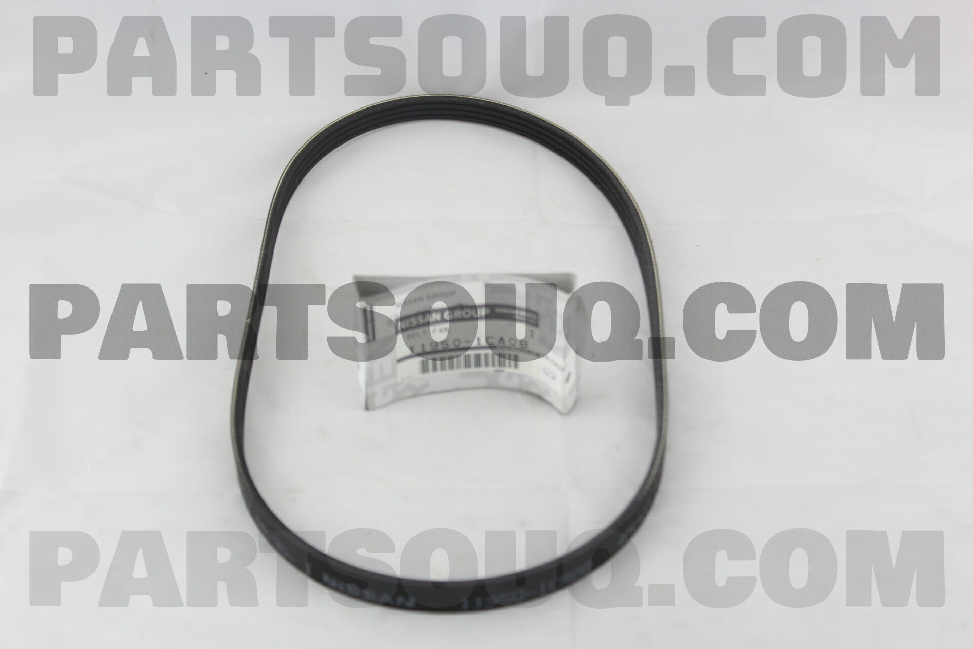 BELT-POWER STEERING OIL PUMP 119501CA0B | Nissan Parts | PartSouq