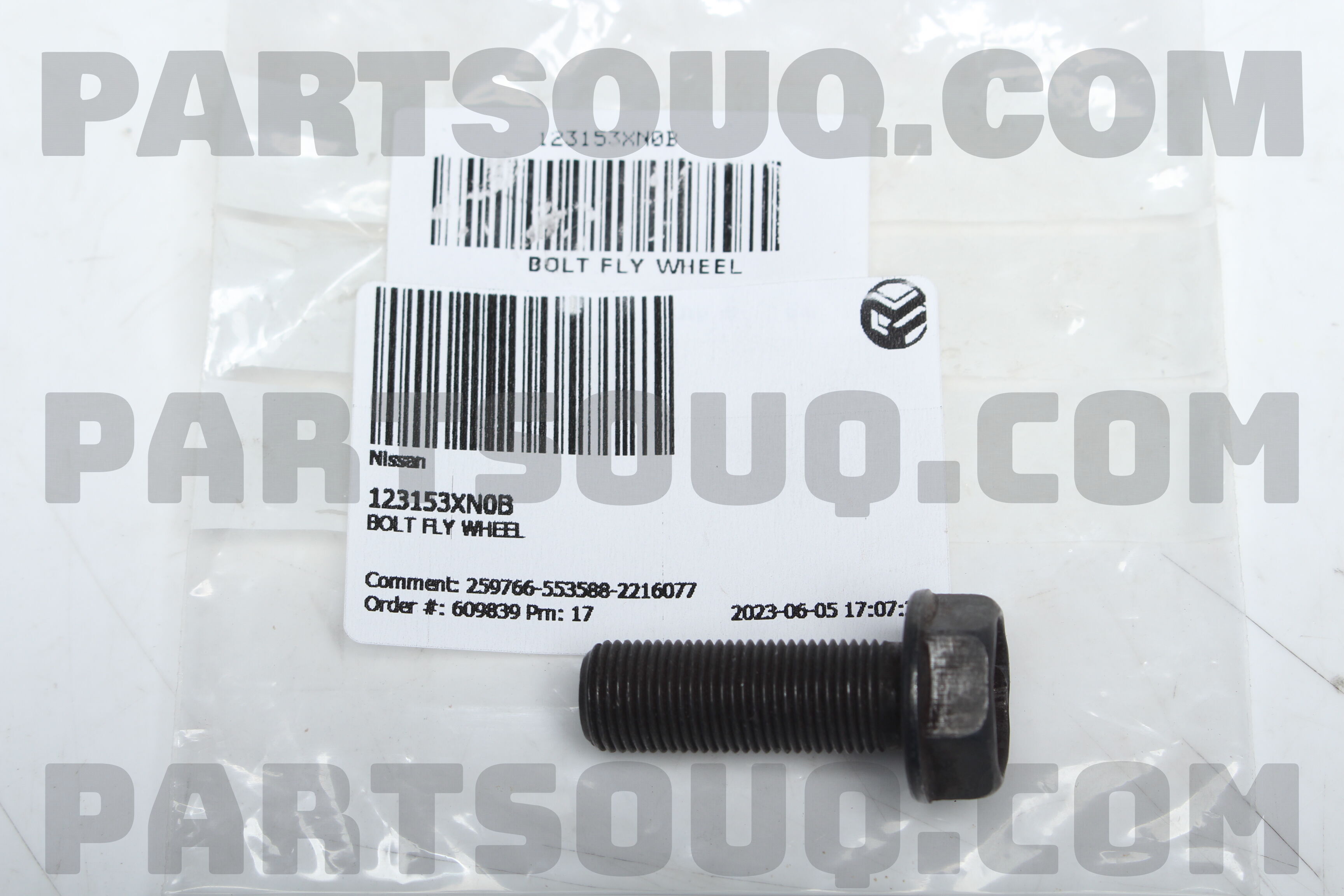 BOLT FLY WHEEL 123153XN0B | Nissan Parts | PartSouq