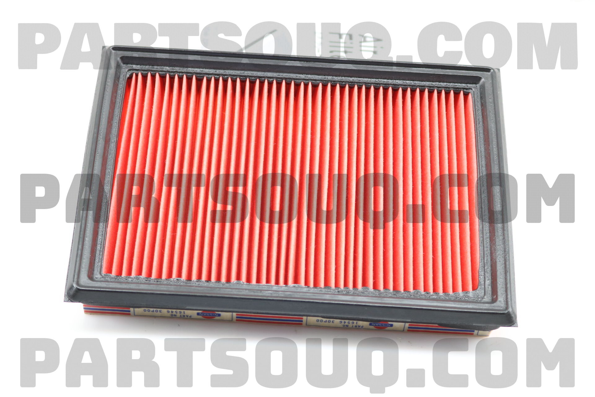 ELEMENT ASSY-AIR 1654630P00 | Nissan Parts | PartSouq