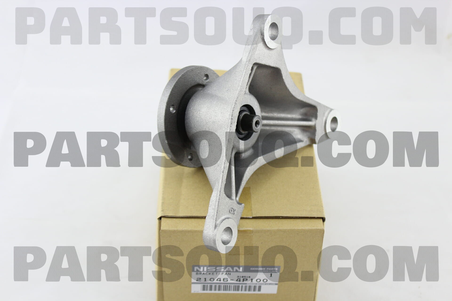 BRACKET-FAN PULLEY 210464P100 | Nissan Parts | PartSouq