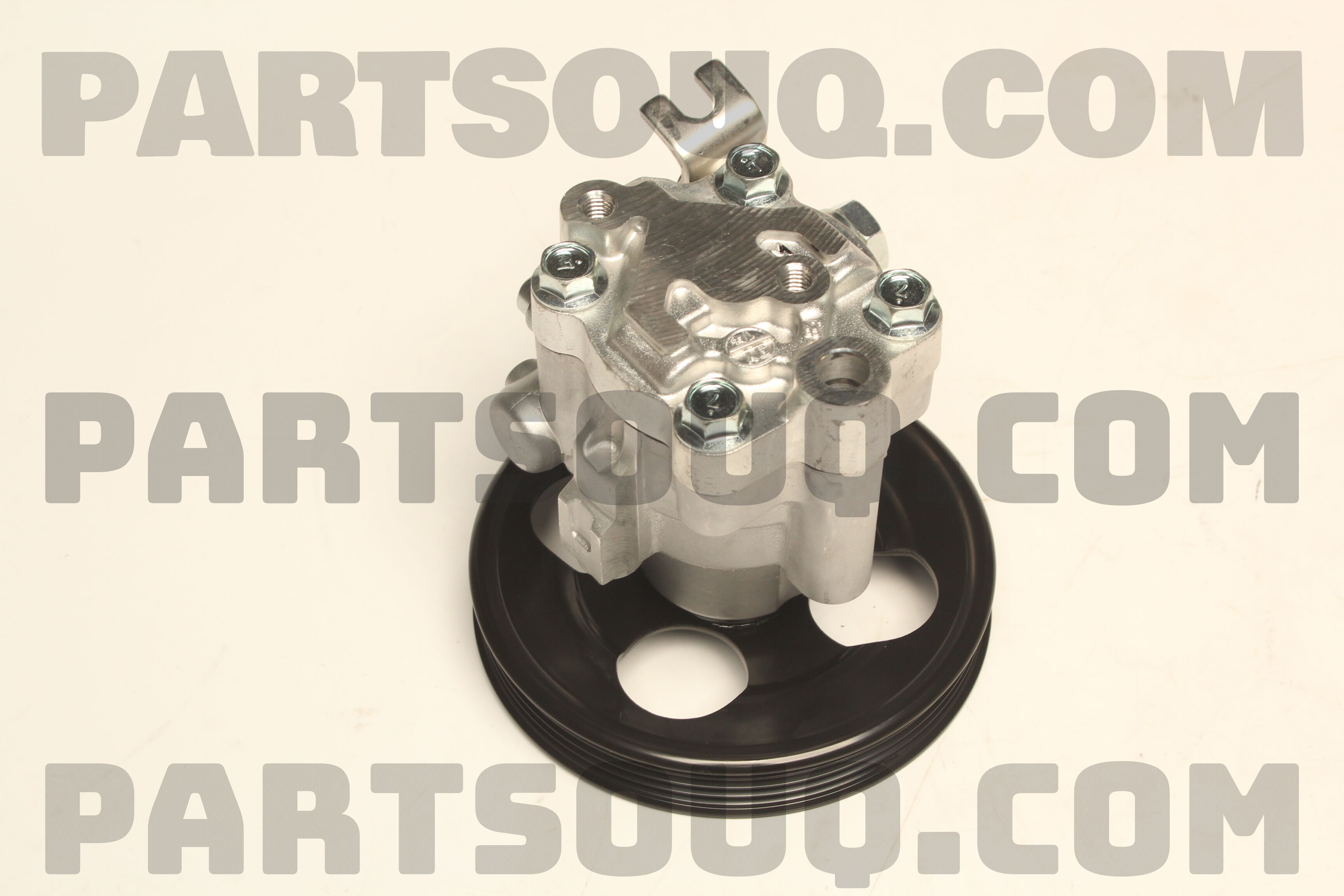 PUMP ASSY-POWER STEERING 491101CA0B | Nissan Parts | PartSouq