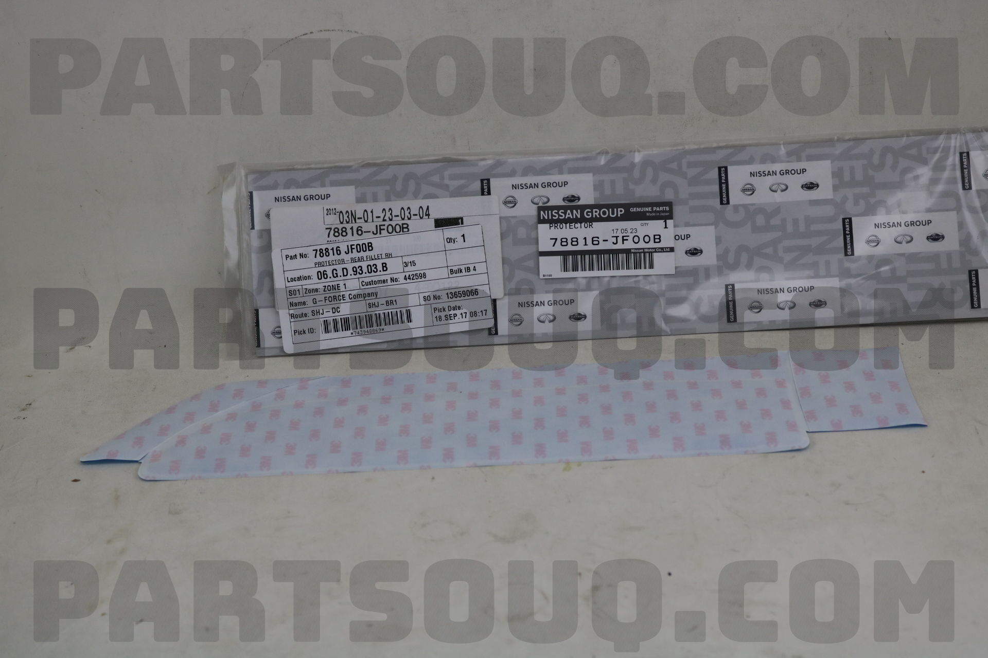 PROTECTOR-REAR FILLET RH 78816JF00B | Nissan Parts | PartSouq