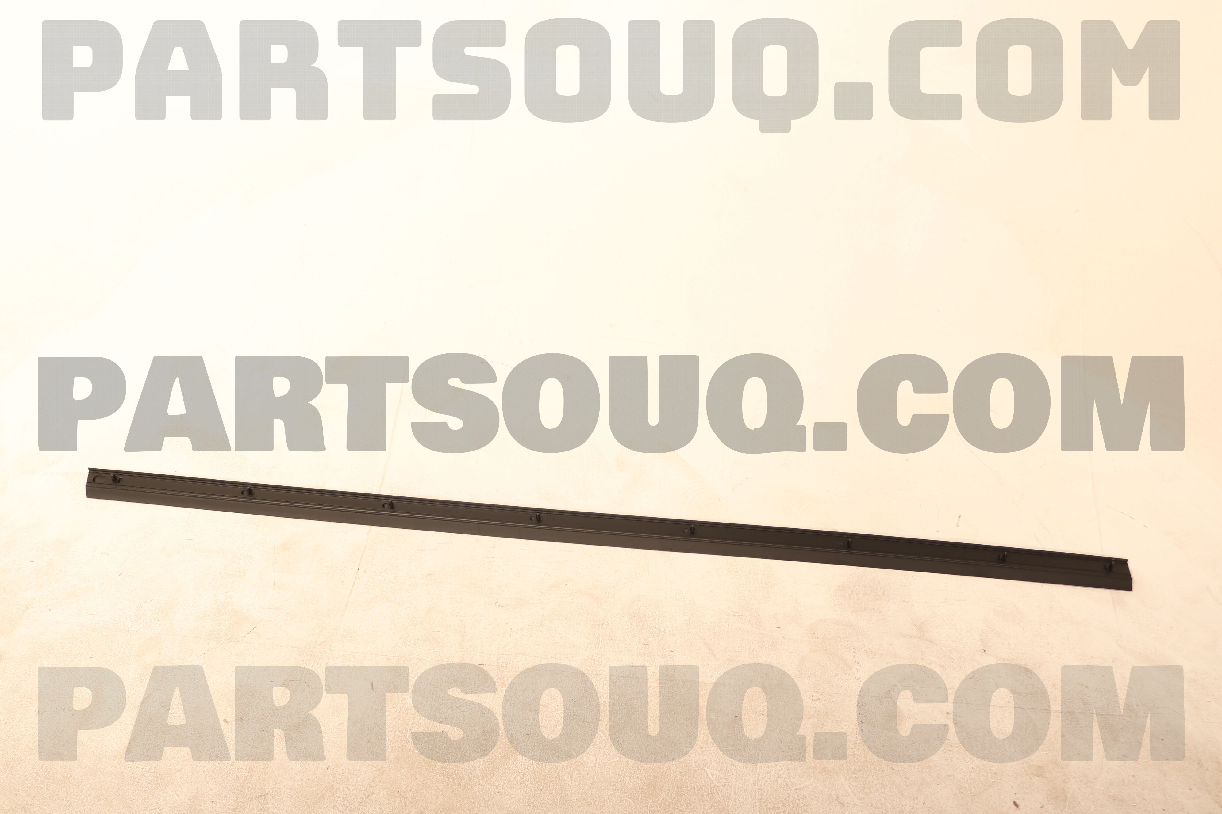 SEAL FRONT DOOR PARTING RH 808383JA0B | Nissan Parts | PartSouq