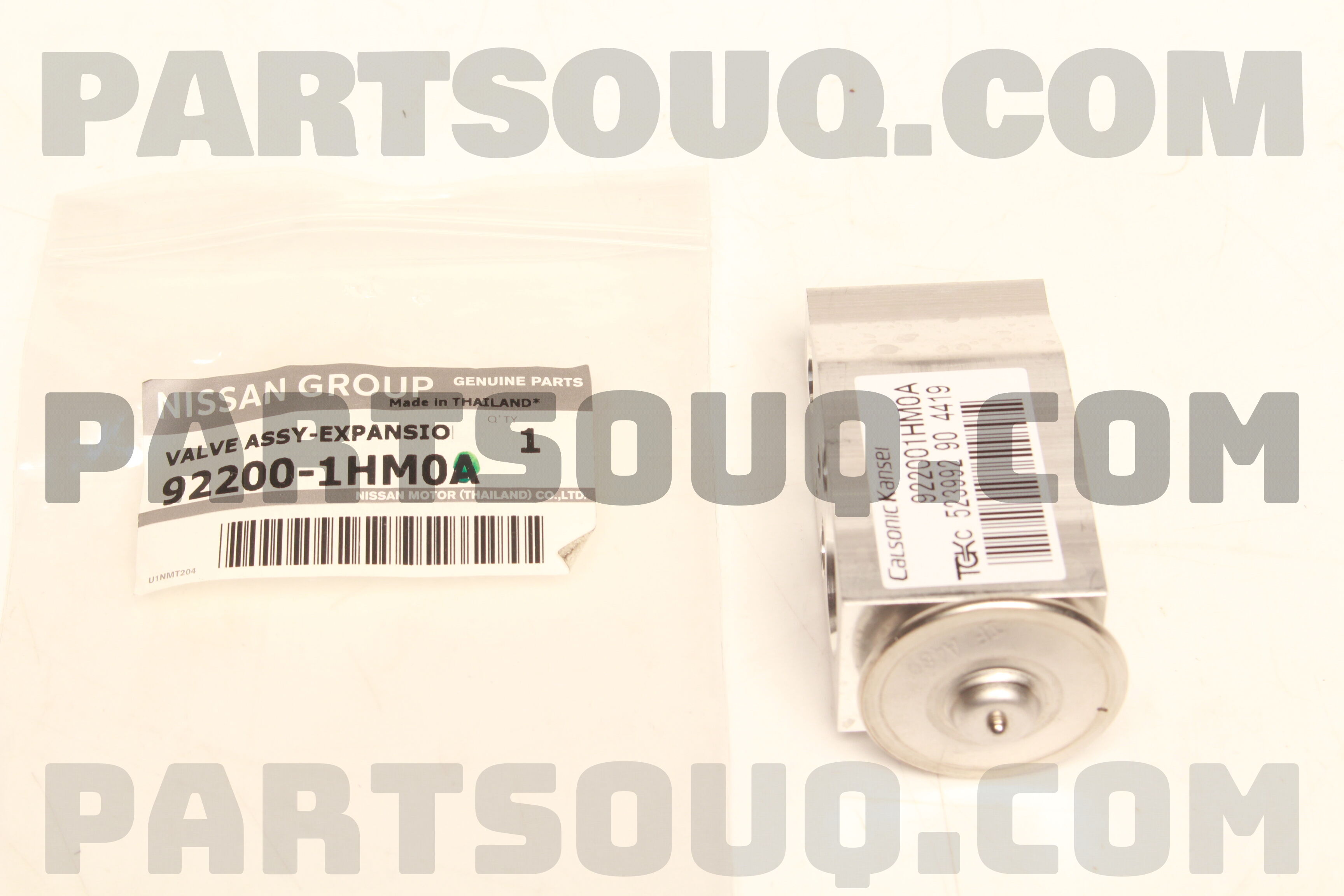 VALVE ASSY-EXPANSION 922006W80A | Nissan Parts | PartSouq