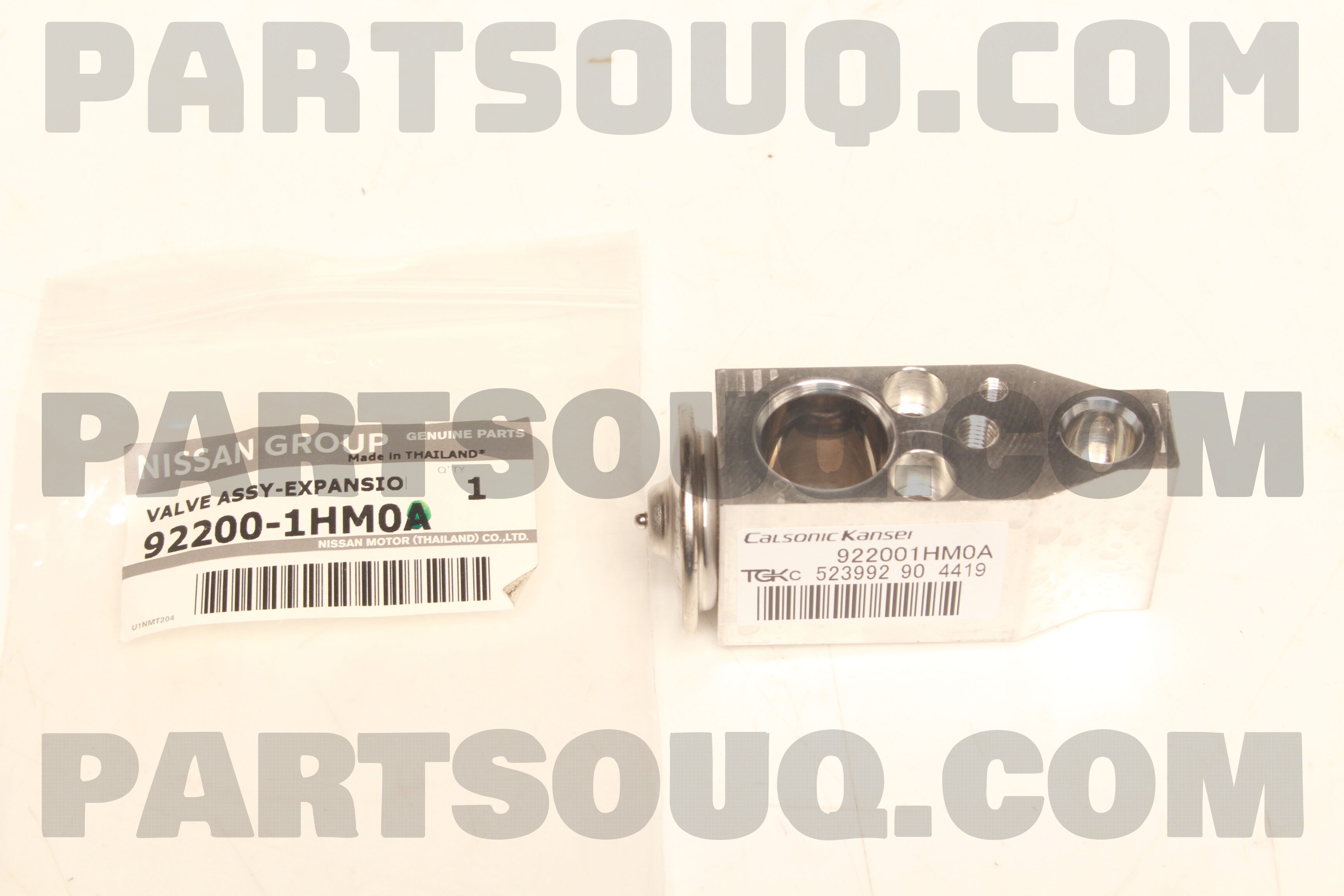 VALVE ASSY-EXPANSION 922006W80A | Nissan Parts | PartSouq