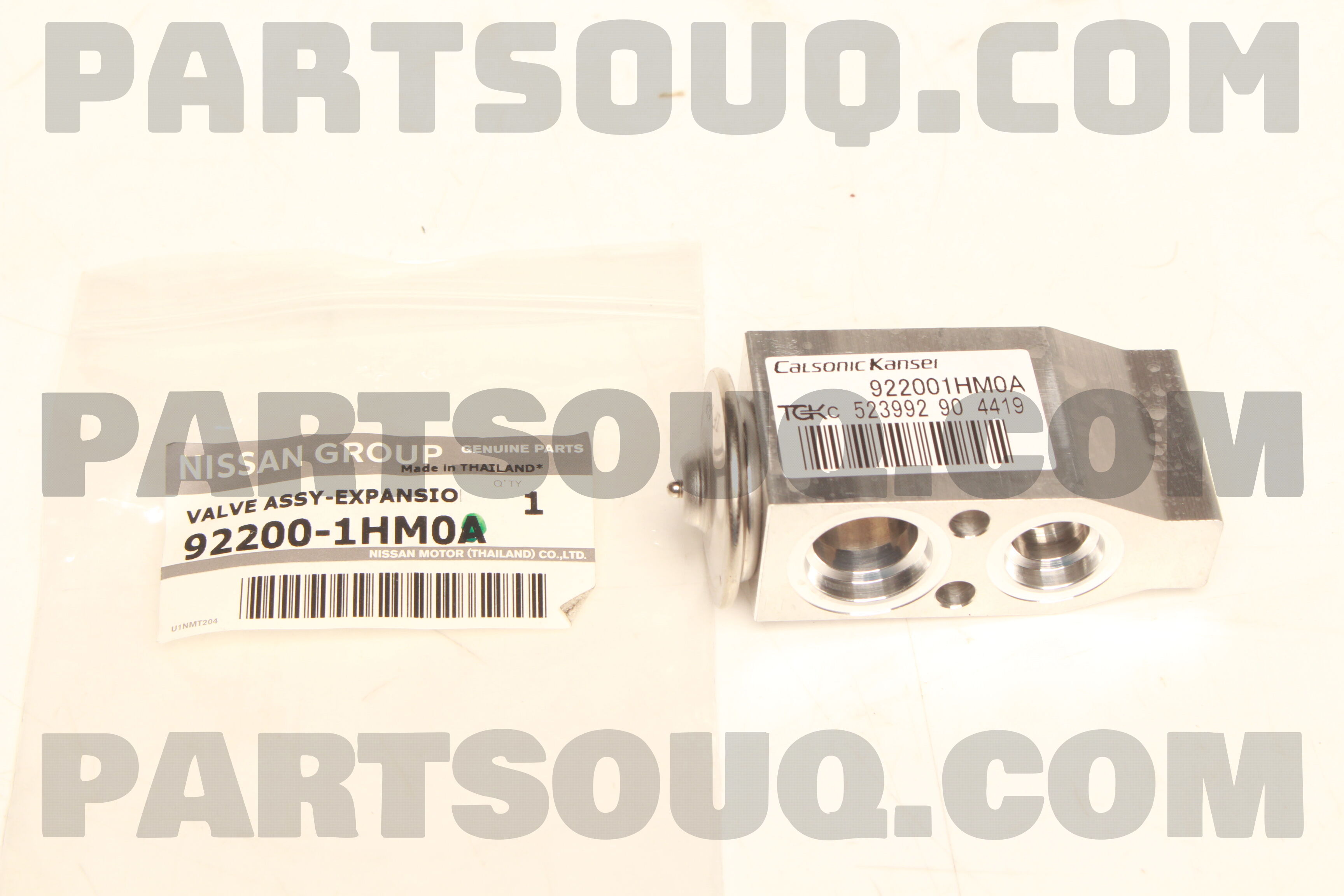 VALVE ASSY-EXPANSION 922006W80A | Nissan Parts | PartSouq