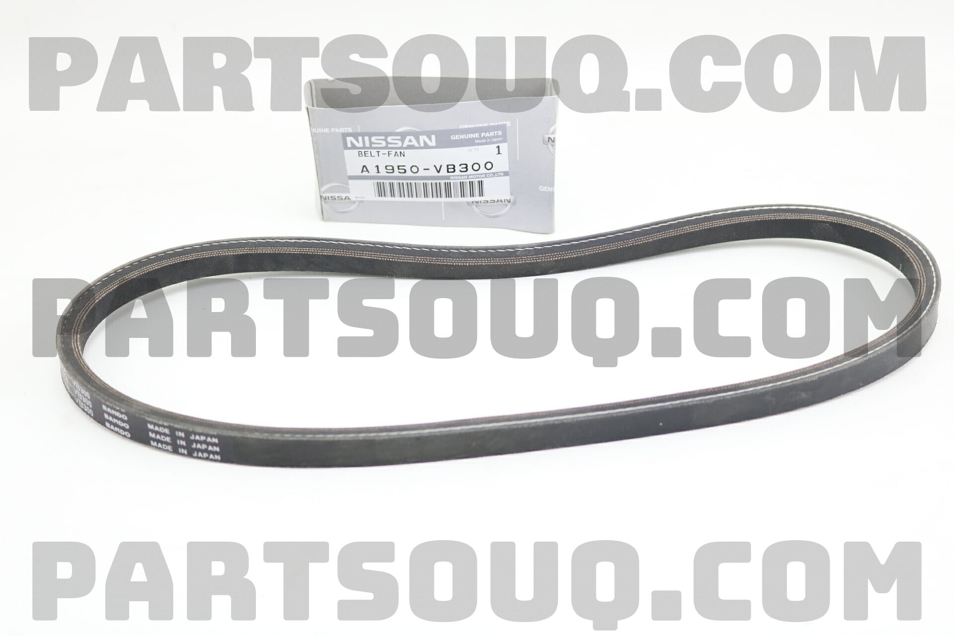 BELT-POWER STEERING OIL PUMP 11950VB300 | Nissan Parts | PartSouq